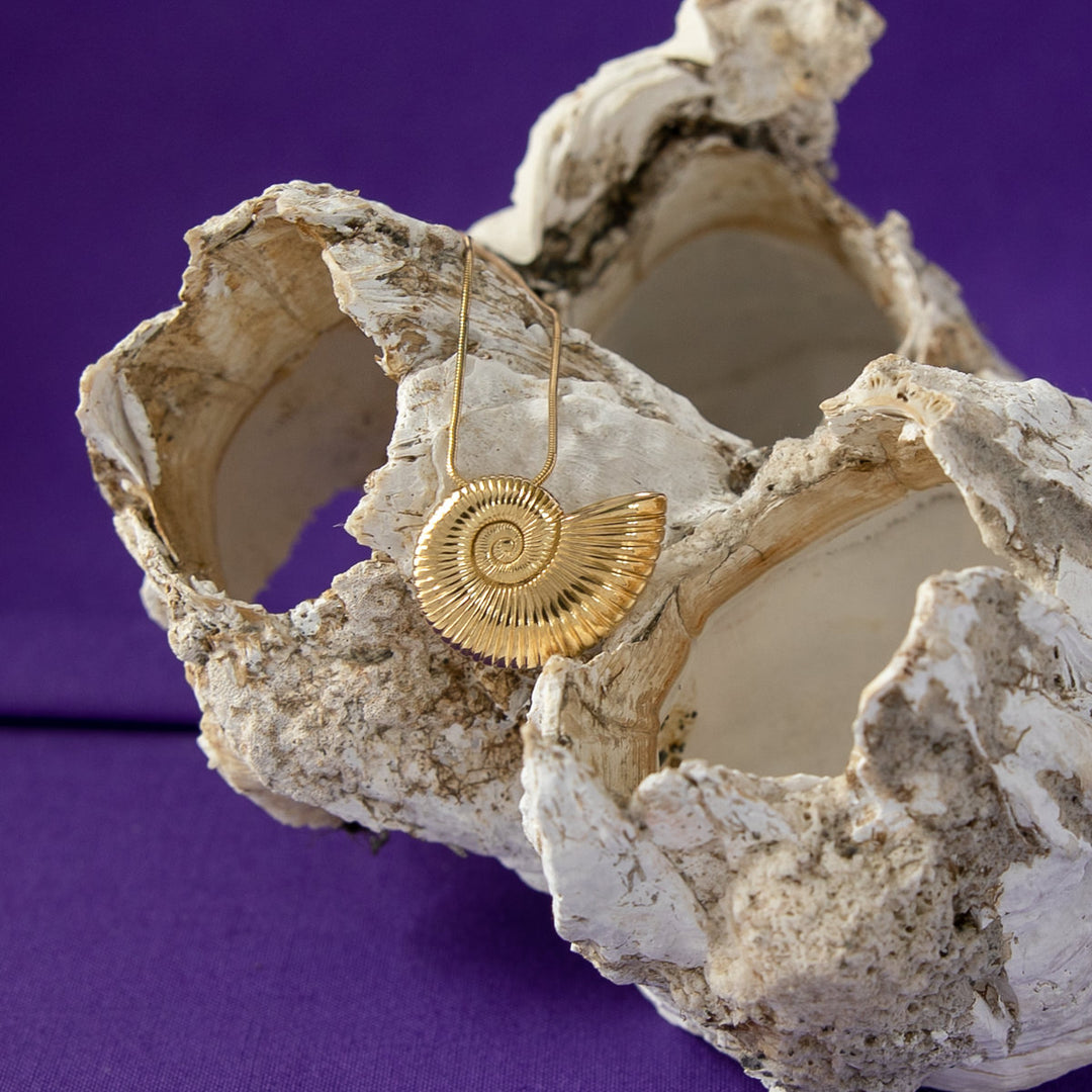 Disney X RockLove DISNEY THE LITTLE MERMAID 2023 Ursula Shell Necklace ...