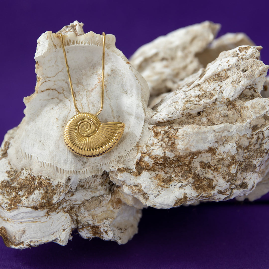 Disney X RockLove DISNEY THE LITTLE MERMAID 2023 Ursula Shell Necklace ...